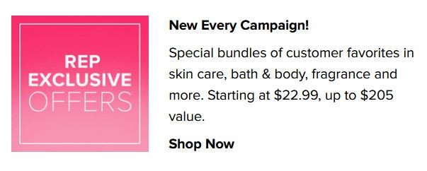 Top Five Reasons to Become an Avon Representative - Midwest Money Savers